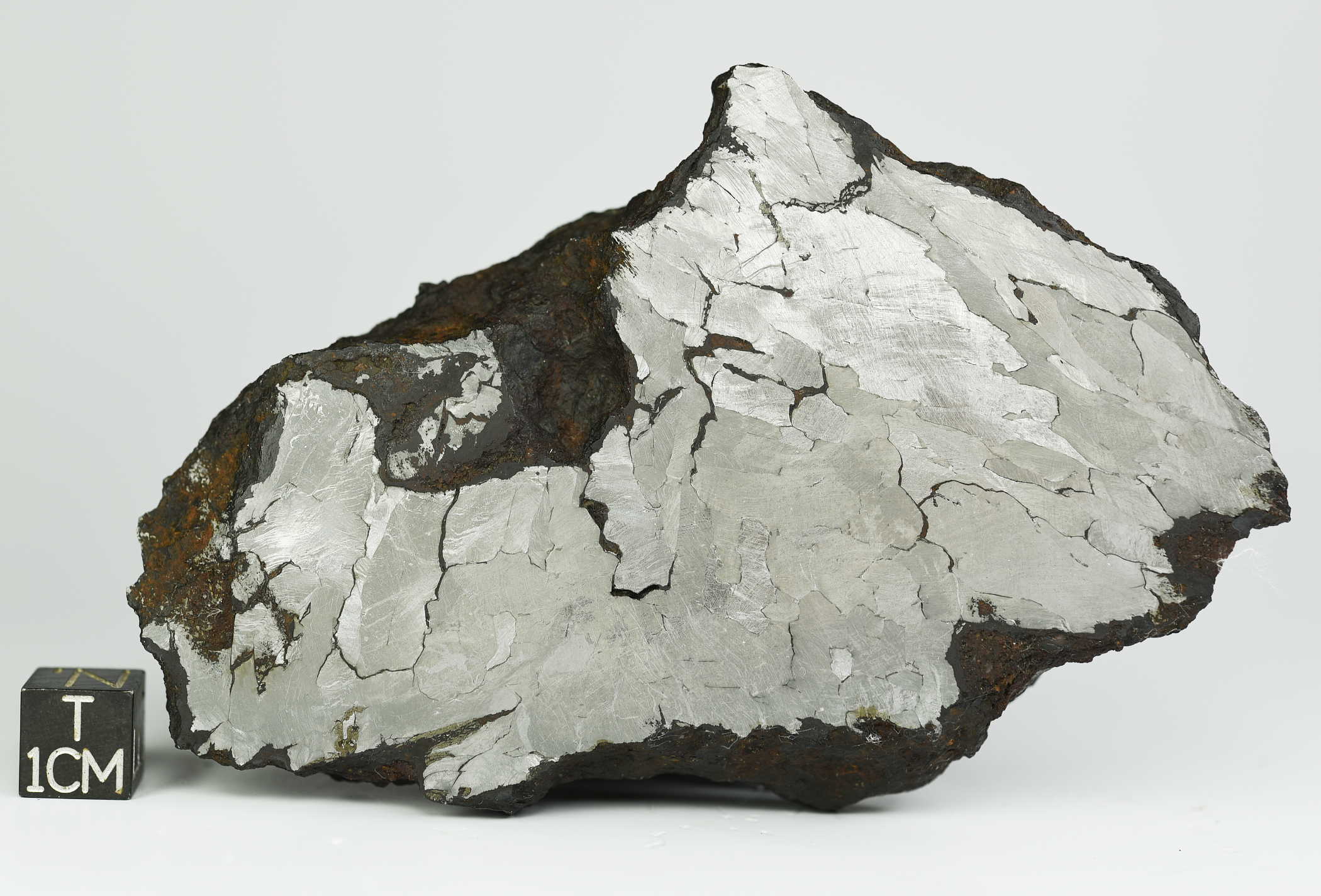 meteorites for sale | Collecting Meteorites