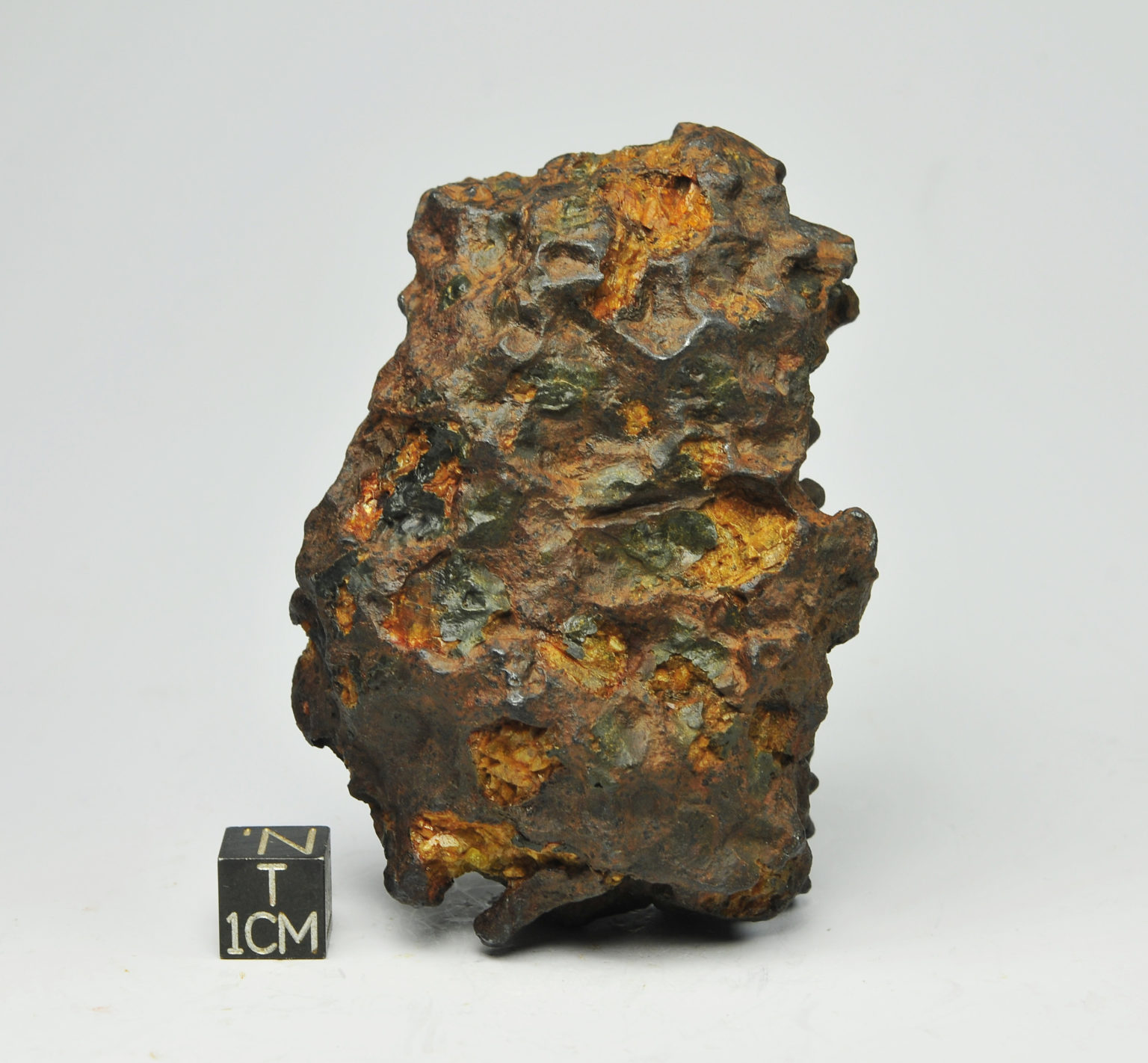 meteorites for sale | Collecting Meteorites
